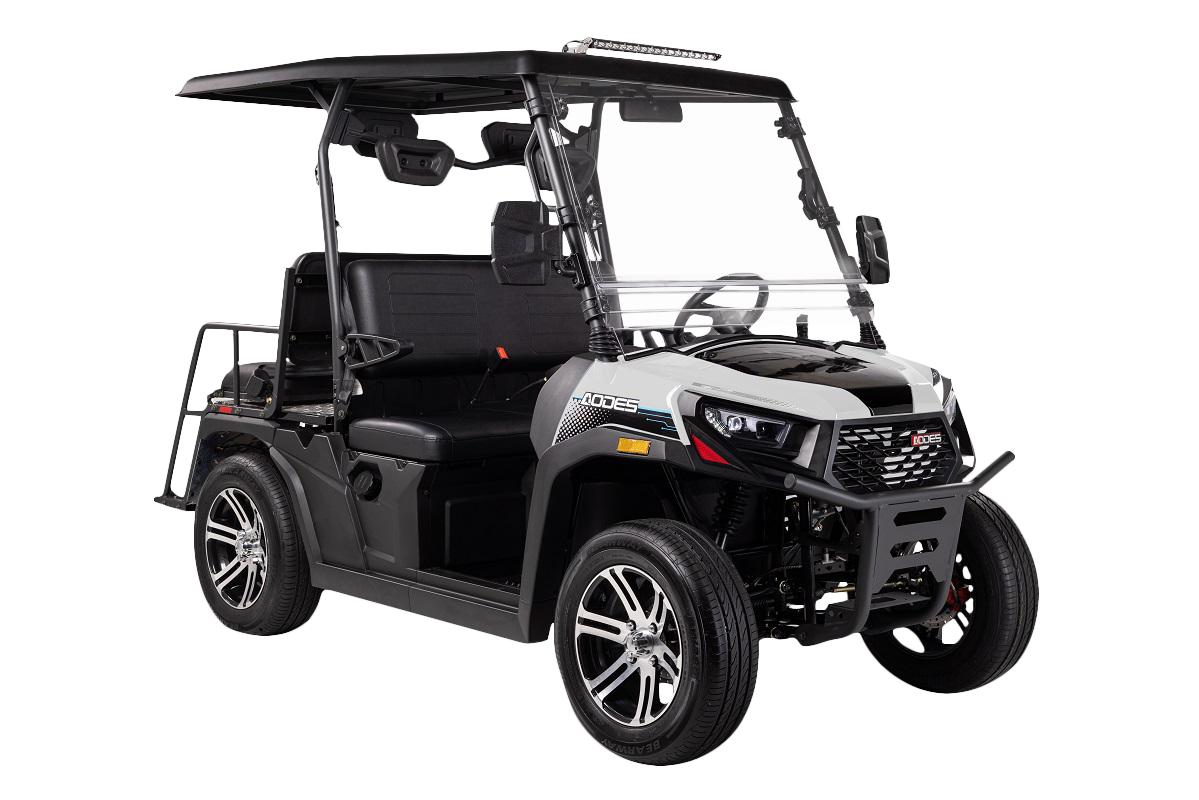 Мотовездеход AODES UTV 300-10 Golf — купить у официального дилера